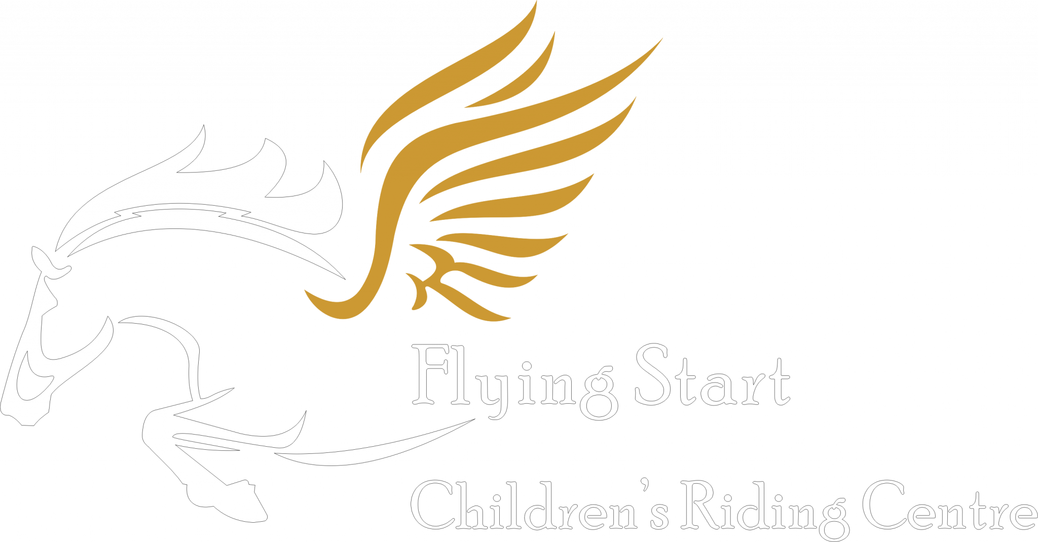 Flying Start Children's Riding Centre, Taunton - Riding School in ...